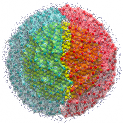 Spatial Control of Heat Flow at the Nanoscale Using Janus Particles ...