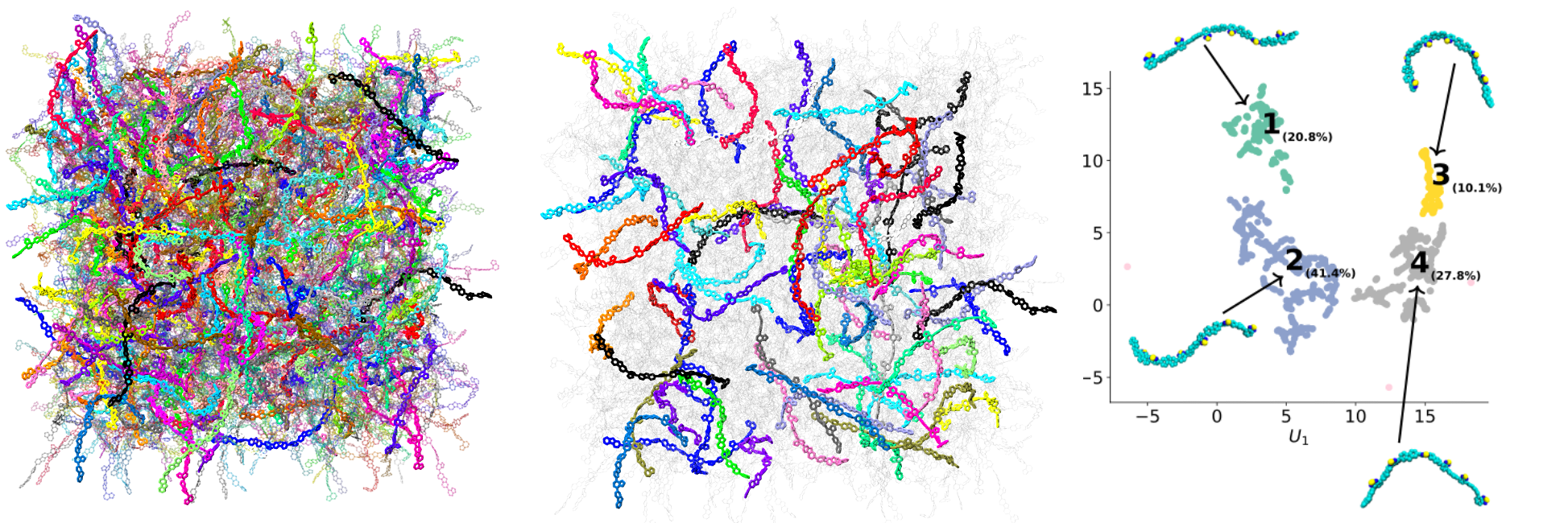 Conformational Heterogeneity and Interchain Percolation Revealed in an ...