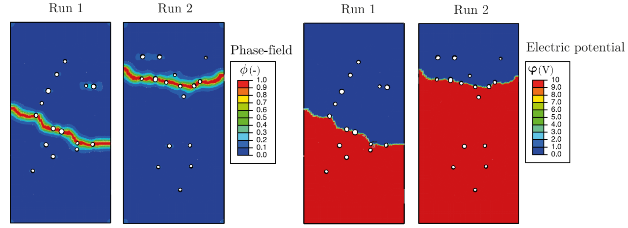 Electromechanical phase-field fracture modelling of piezoresistive CNT ...